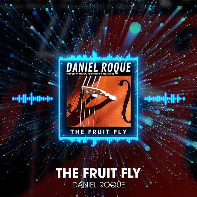 Daniel Roque - The Fruit Fly - DistroKid Video
