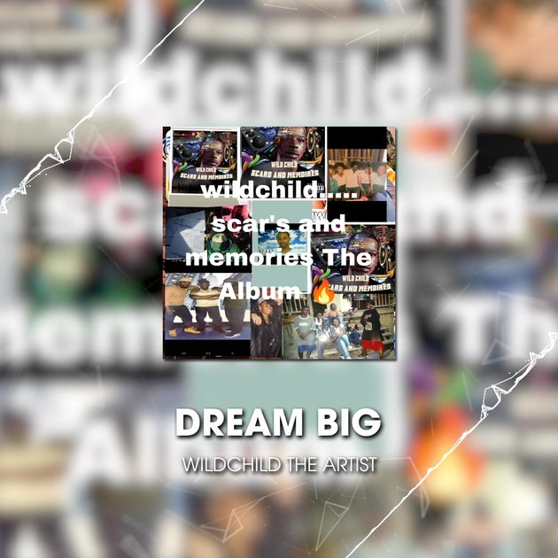 Wildchild The Artist - Dream Big - DistroKid Video