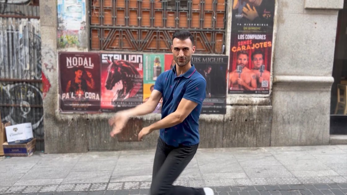 STELLA - DistroVid Gallery