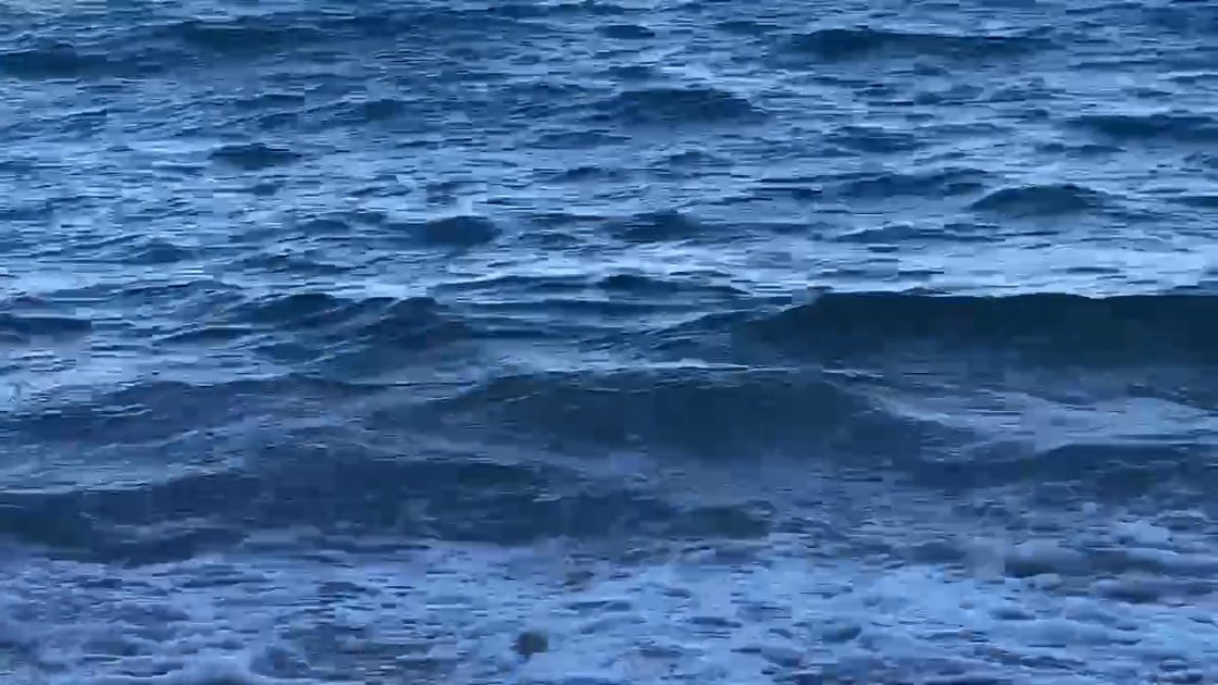 The night I call you I still dream about you - DistroVid Gallery