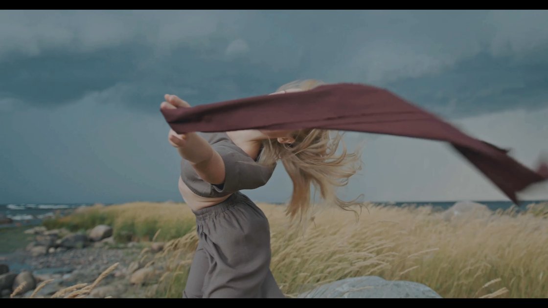 Bully Shoes - DistroVid Gallery