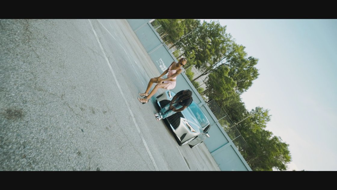 View - DistroVid Gallery