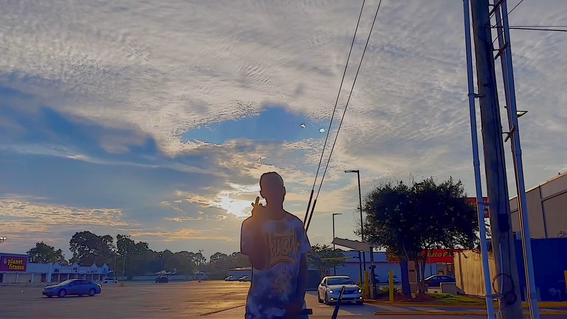 Viral - DistroVid Gallery