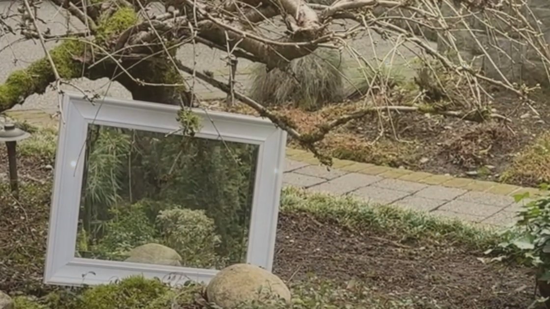 Look Within - DistroVid Gallery