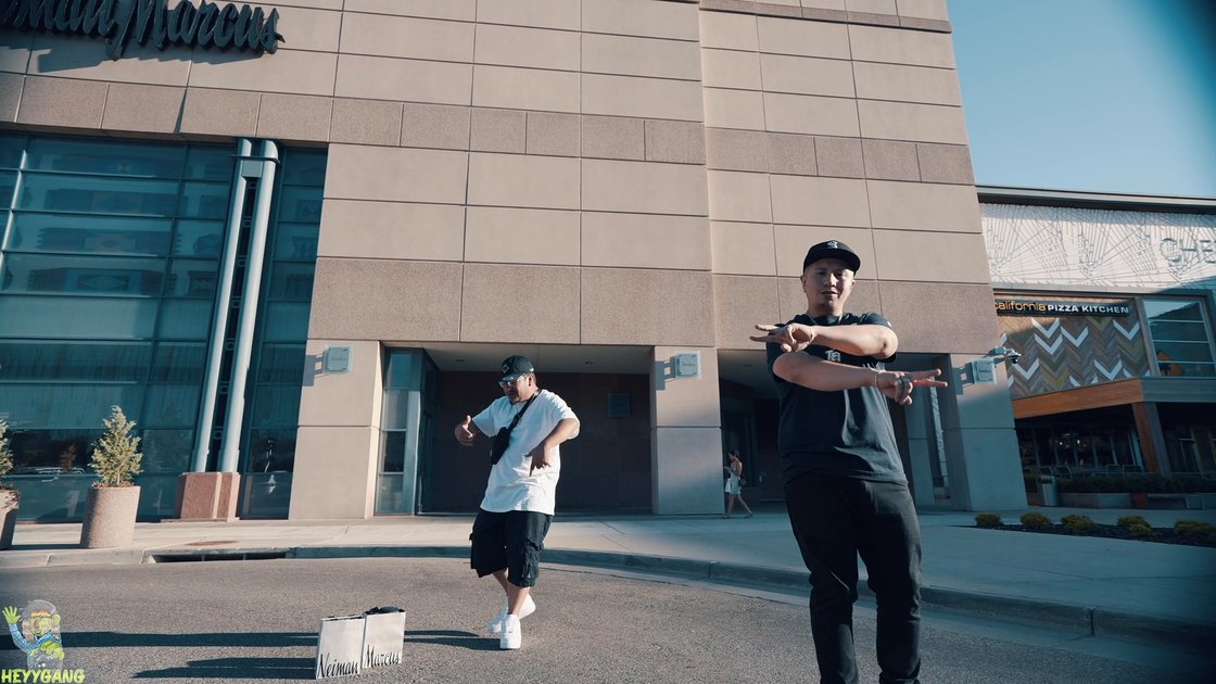 Courtesy - DistroVid Gallery