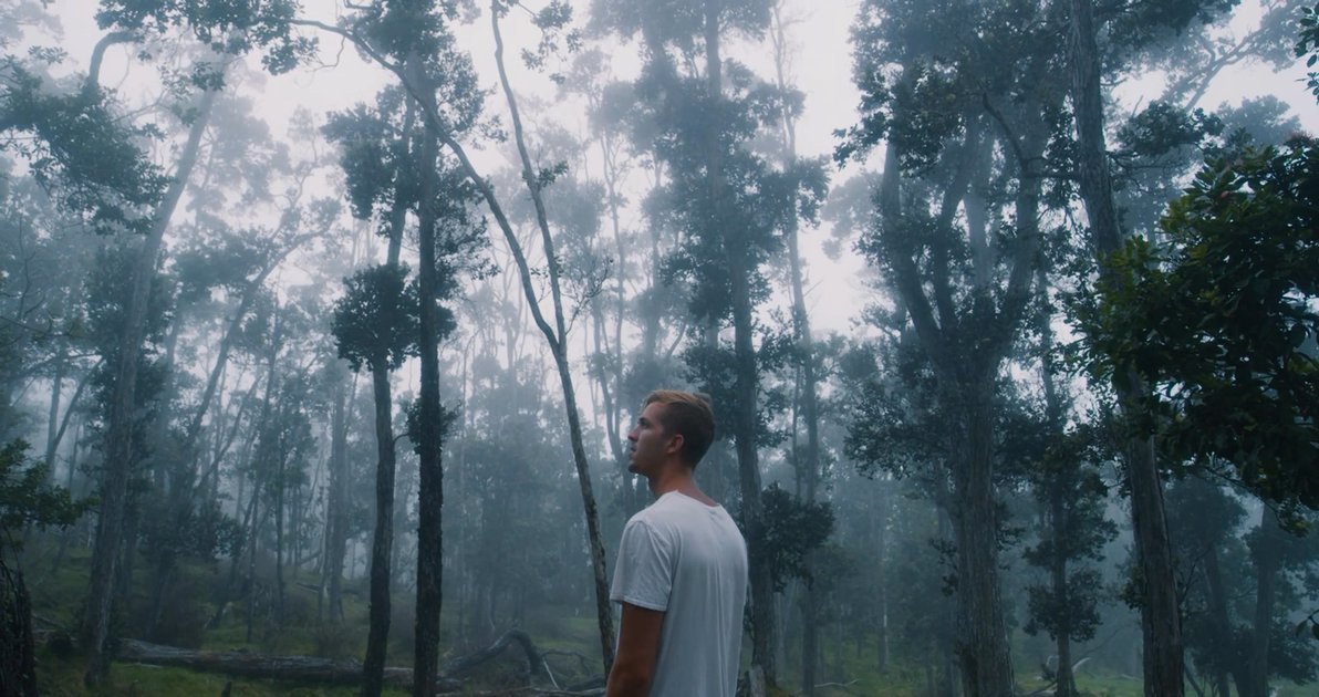 Journey - DistroVid Gallery