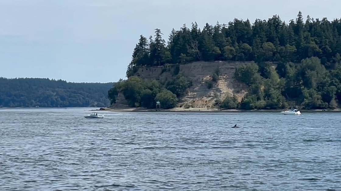 Health - DistroVid Gallery