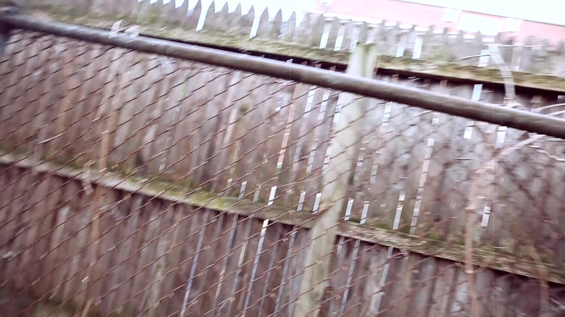 Bars - DistroVid Gallery