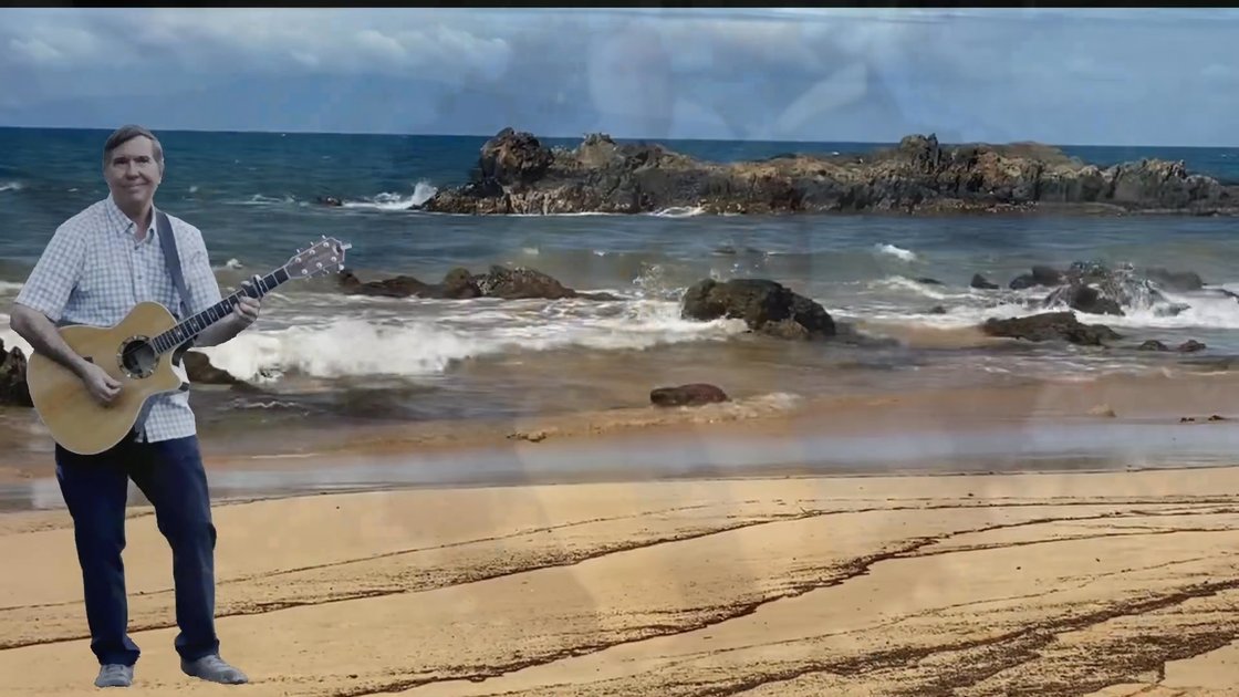 Perfect Day - DistroVid Gallery