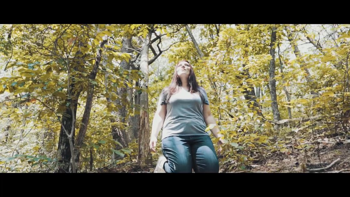 Mountains - DistroVid Gallery