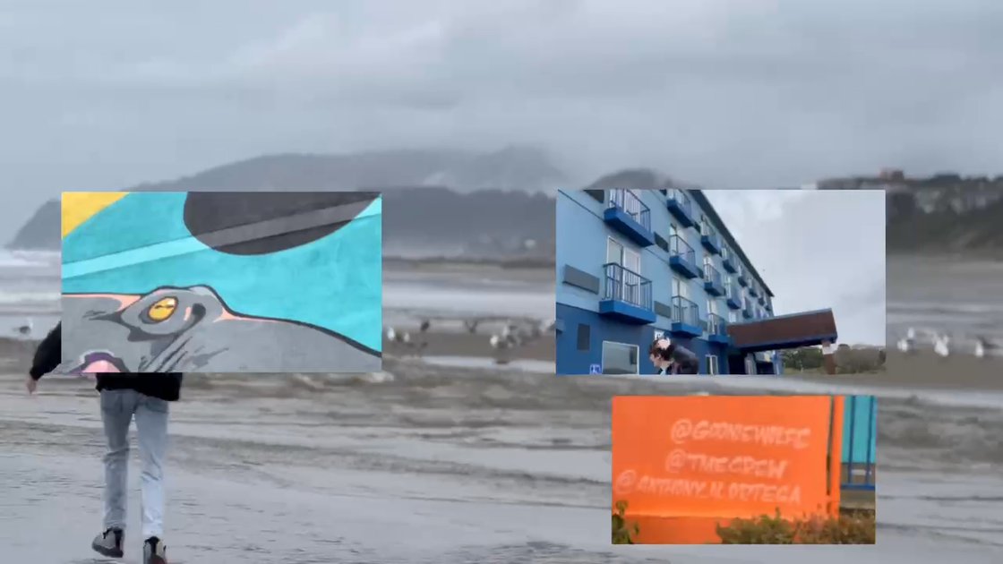 SURF! - DistroVid Gallery