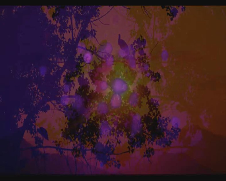 Nada va sobre ruedas - DistroVid Gallery