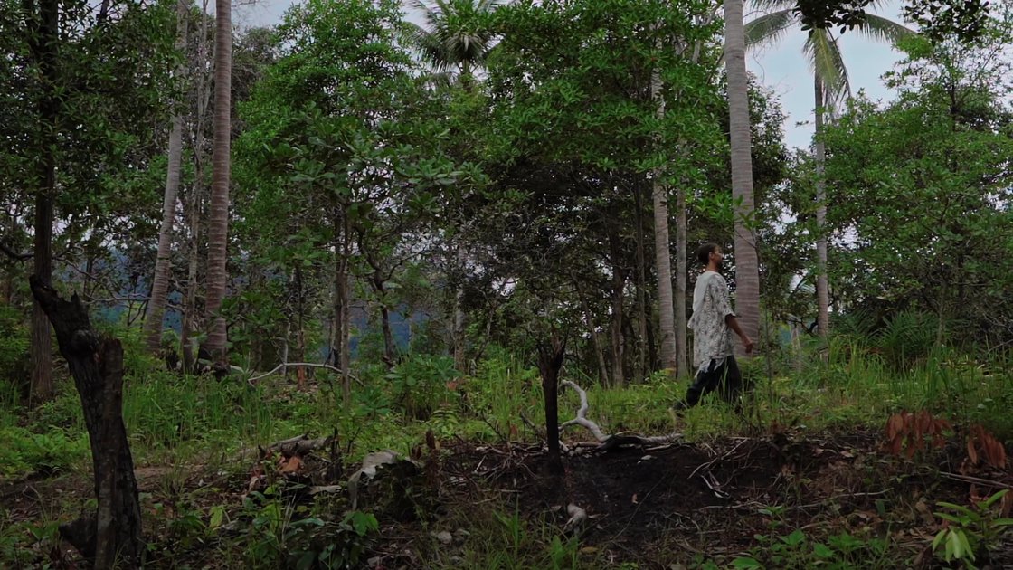 Lost - DistroVid Gallery