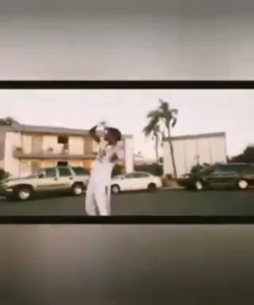 REAL STEPPER - DistroVid Gallery