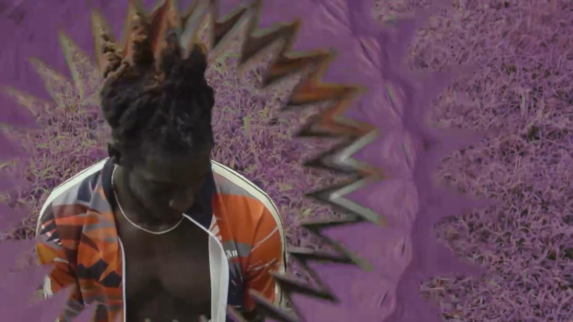 Mario - DistroVid Gallery