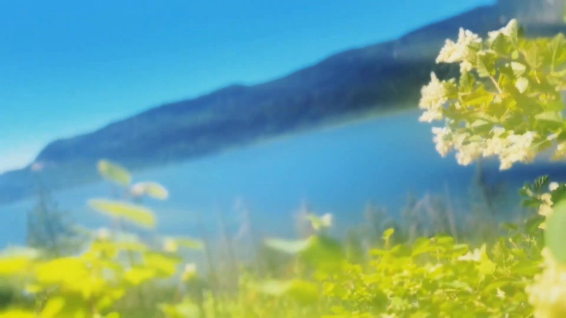 21 - DistroVid Gallery