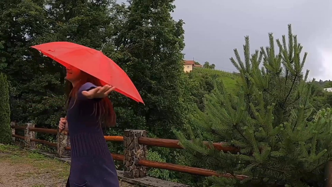 Rain Dance - DistroVid Gallery