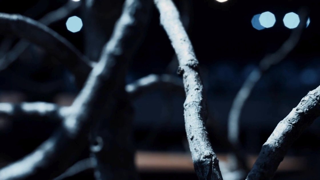 COMPOSURE - DistroVid Gallery