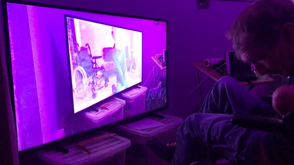 Purple Ark - DistroVid Gallery