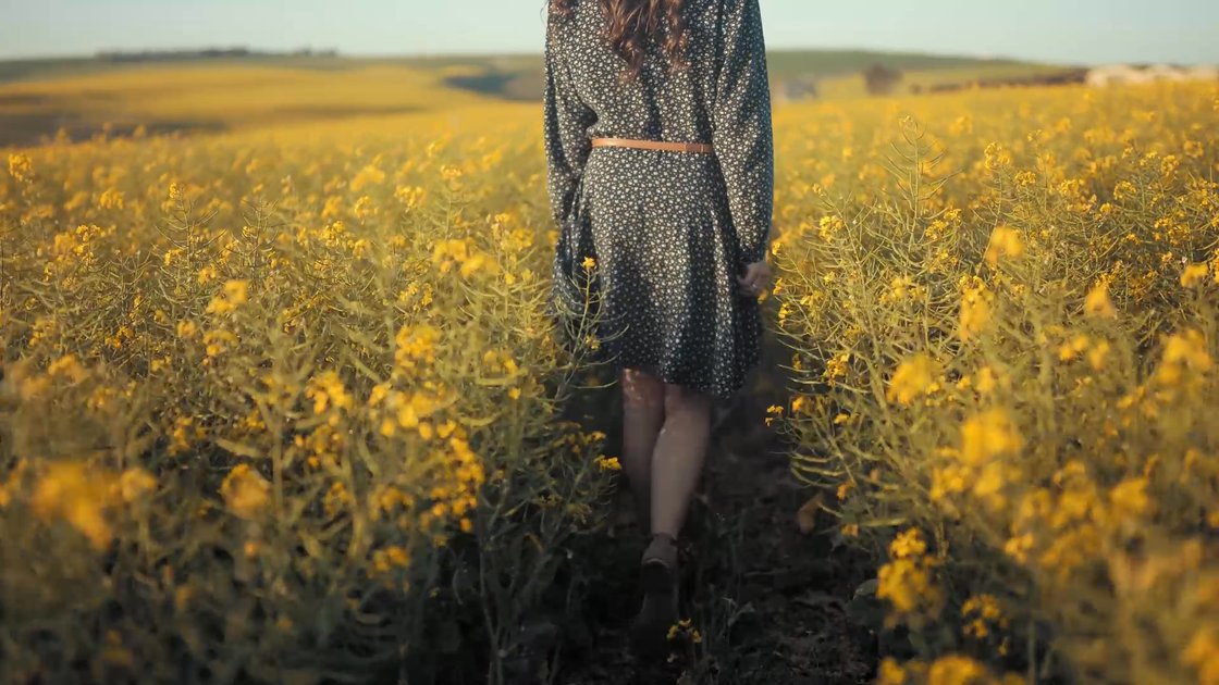 Resound - DistroVid Gallery