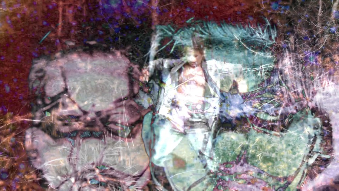 Wild Bo... - DistroVid Gallery