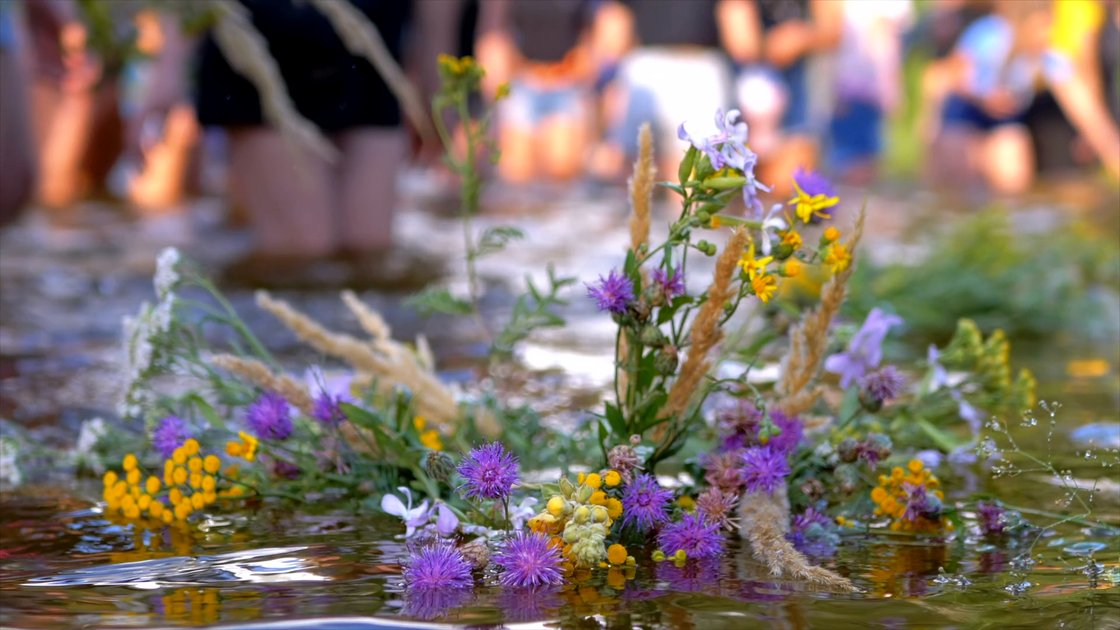 Rise - DistroVid Gallery