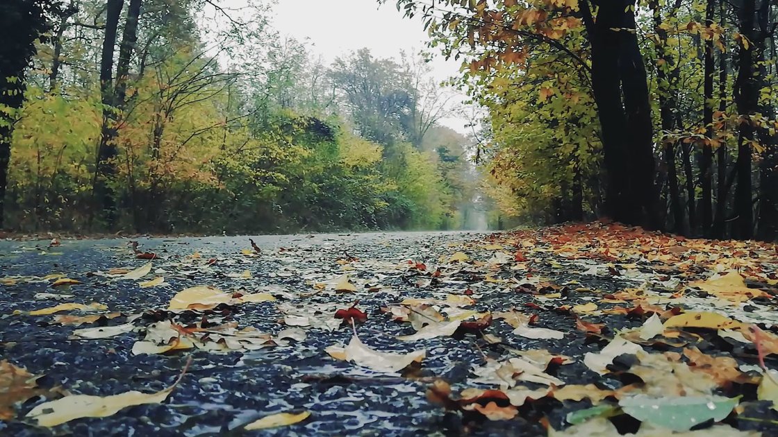 Piano Improvisation 20 - DistroVid Gallery