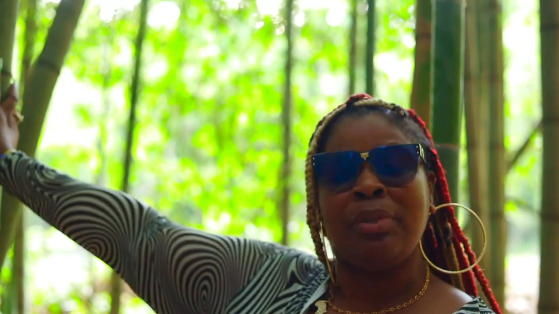 Alabama Wildcat - DistroVid Gallery