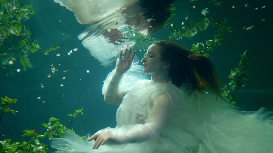 Genesis - DistroVid Gallery