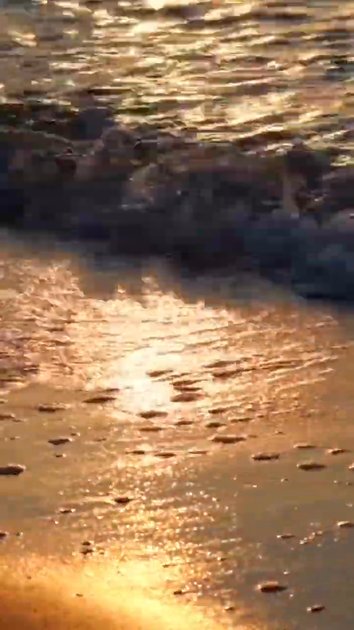 Mid Summer Vibes - DistroVid Gallery