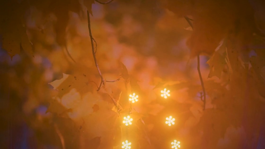 Yellow and Magic - DistroVid Gallery