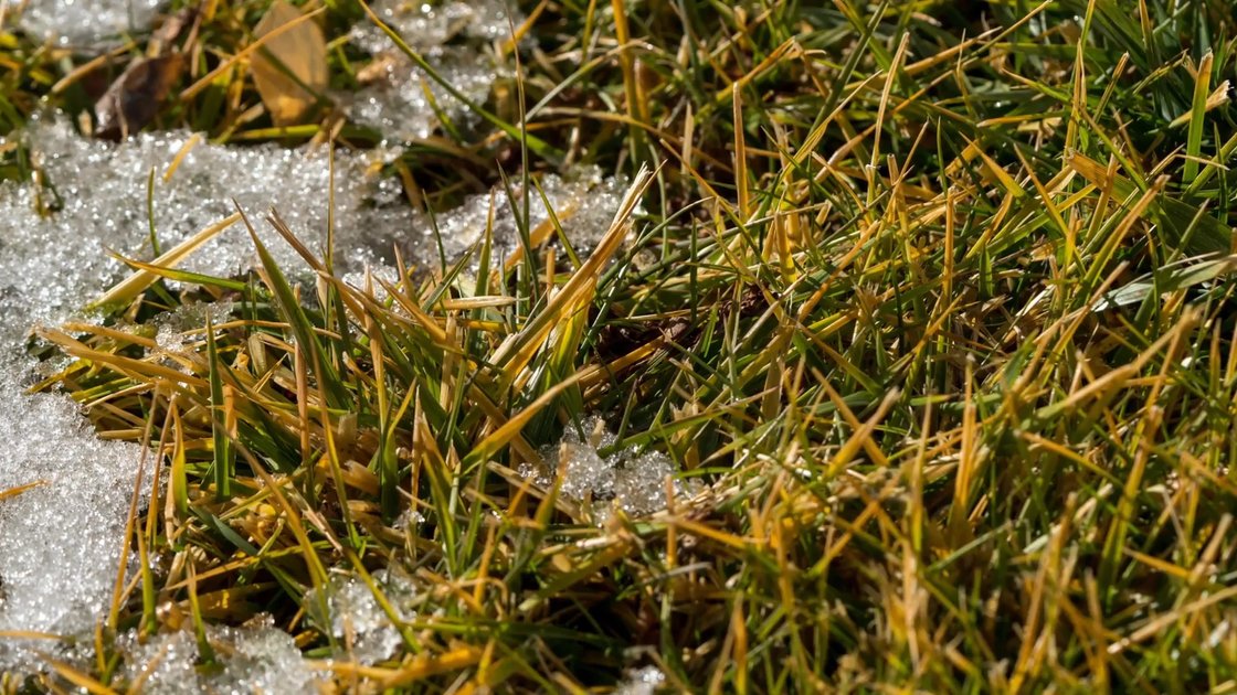 Yesterday's Embrace - DistroVid Gallery