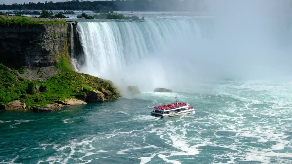 Double Take - DistroVid Gallery