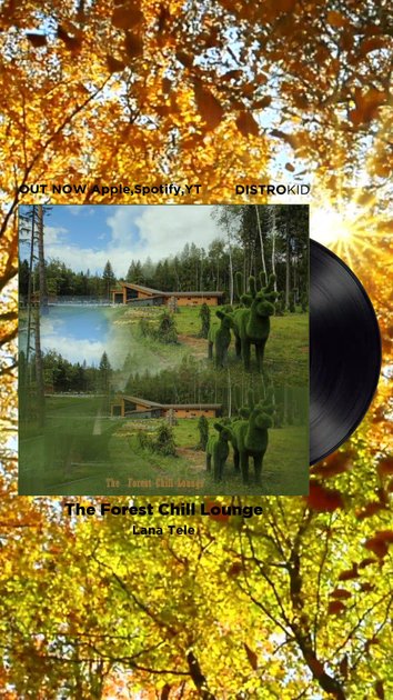 The Forest Chill Lounge Mini Video - DistroKid Video
