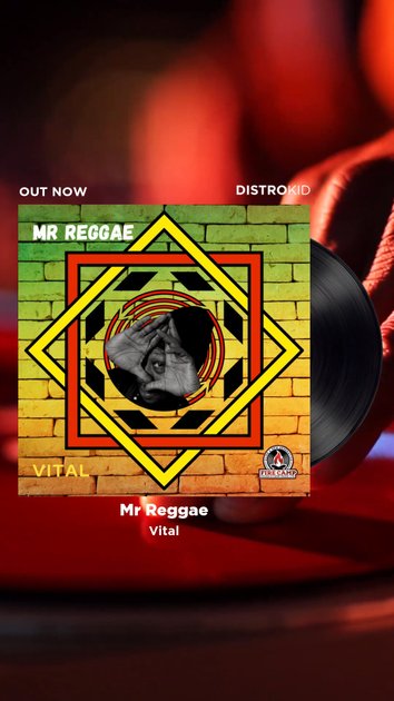 Mr Reggae Mini Video - DistroKid Video
