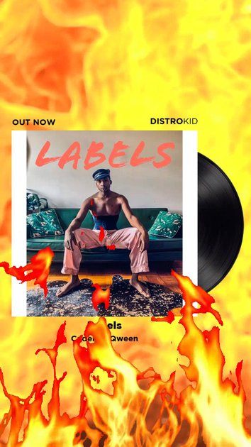 Labels Mini Video - DistroKid Video