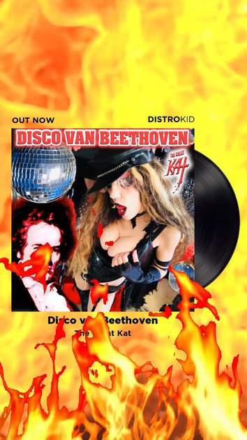 Disco van Beethoven Mini Video - DistroKid Video