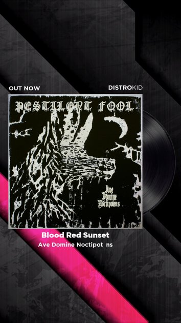 Blood Red Sunset Mini Video - DistroKid Video