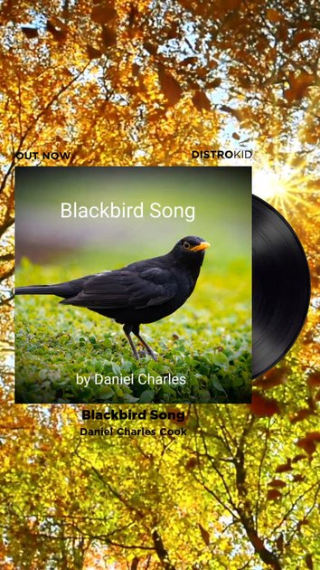Blackbird Song Mini Video - DistroKid Video