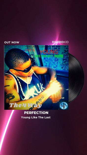 PERFECTION Mini Video - DistroKid Video