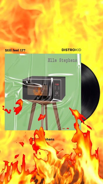 17 Mini Video - DistroKid Video