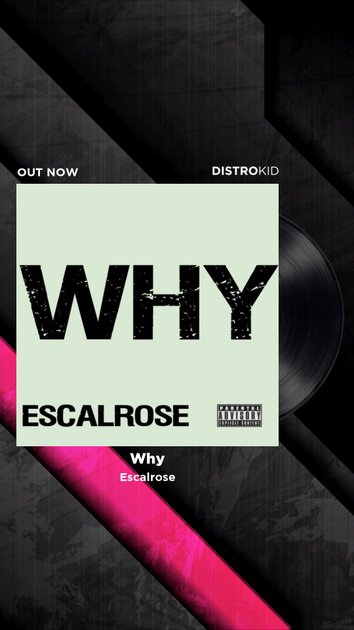 Why Mini Video - DistroKid Video