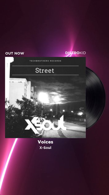 Voices Mini Video - DistroKid Video