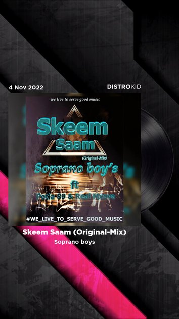 Skeem Saam (Original-Mix) Mini Video - DistroKid Video