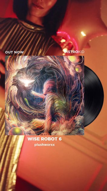 WISE ROBOT 6 Mini Video - DistroKid Video