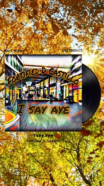 I say aye Mini Video - DistroKid Video