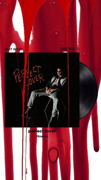 perfect lover Mini Video - DistroKid Video