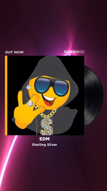 EDM Mini Video - DistroKid Video