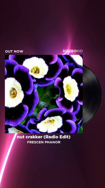 nut crakker (Radio Edit) Mini Video - DistroKid Video