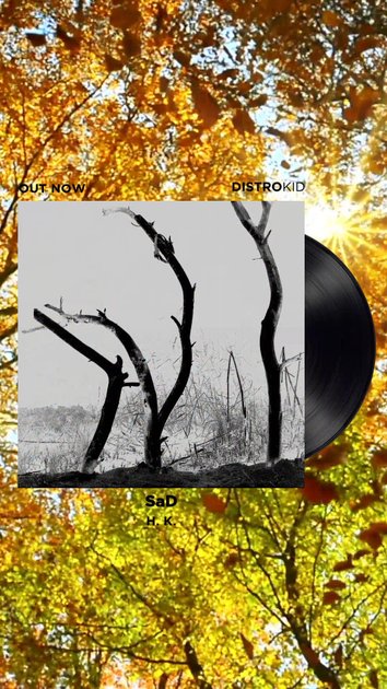 SaD Mini Video - DistroKid Video